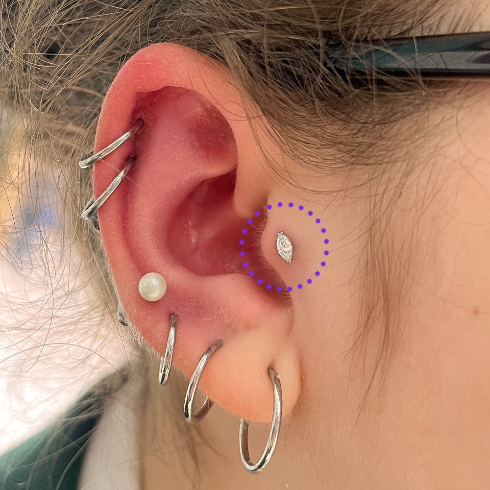 JOYERIA PARA TRAGUS – TodoNada Tattoo & Piercing